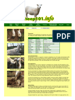 All About Sheep | PDF