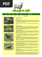 All About Sheep | PDF