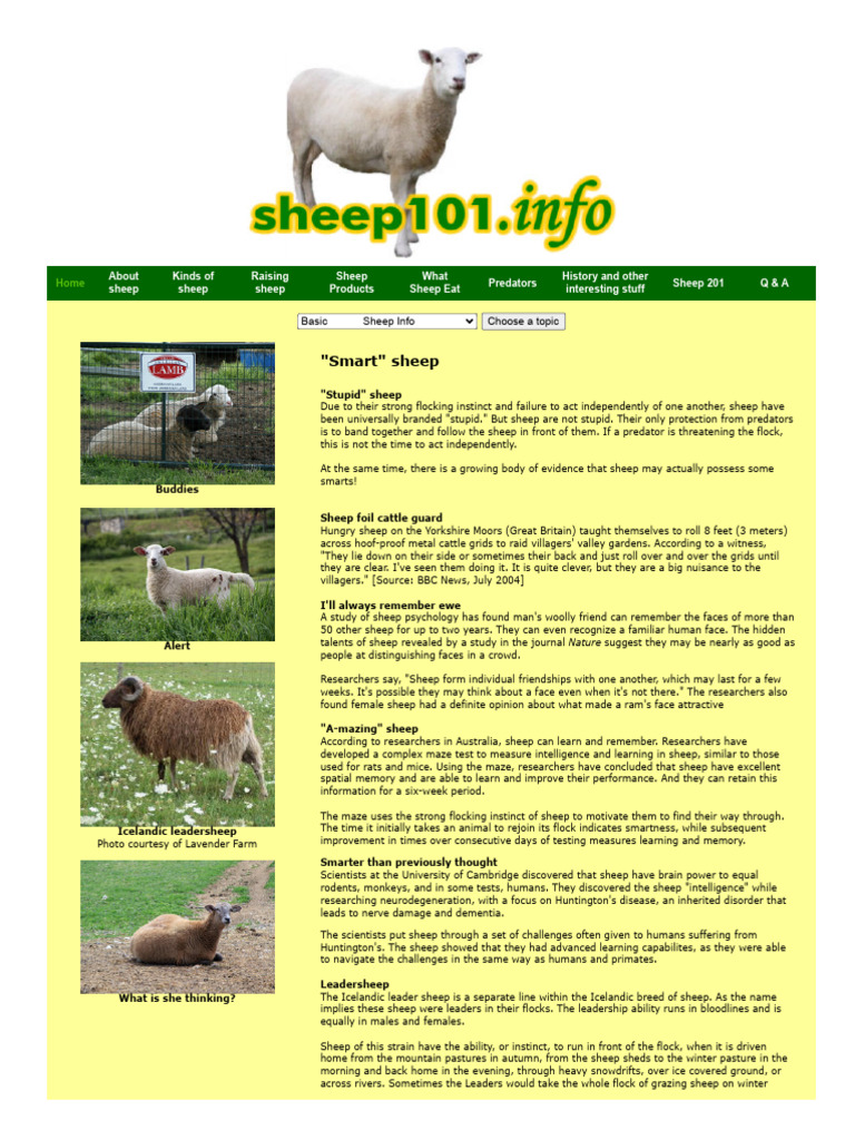 Sheep 101 - Smart Sheep - PDF 3 | PDF