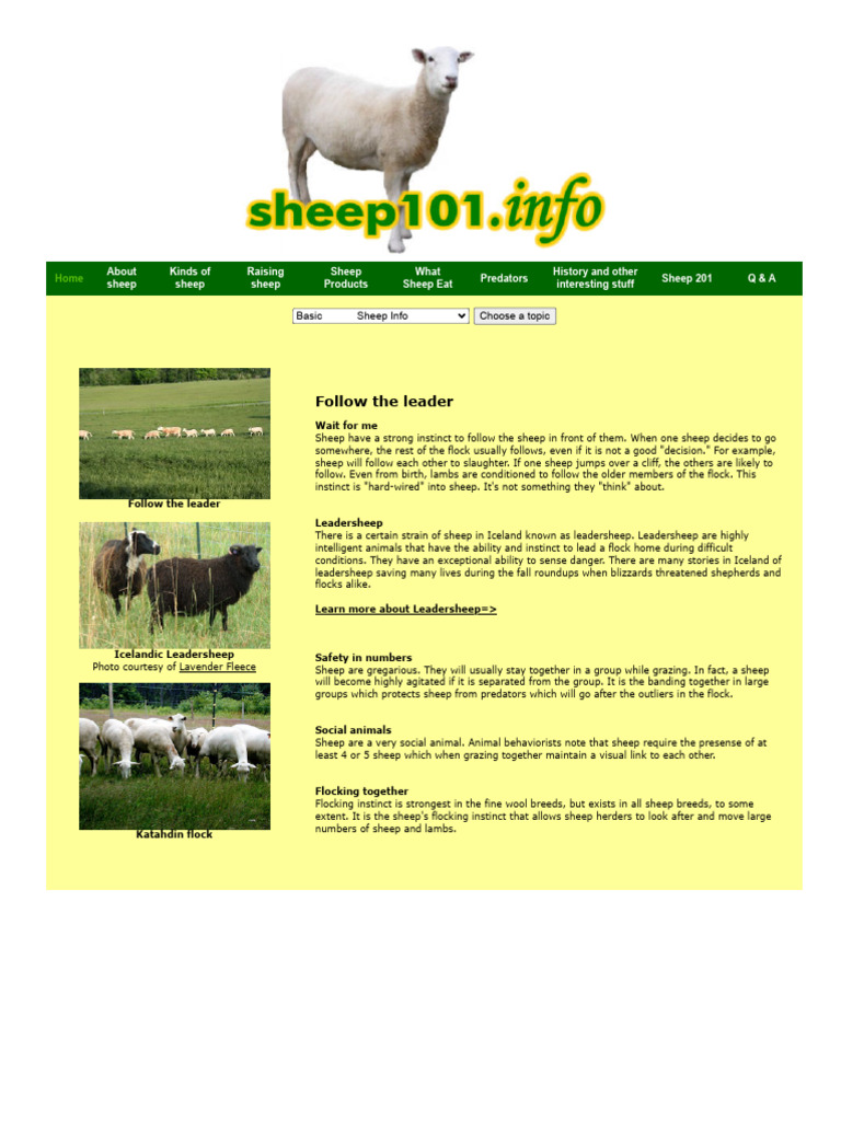Sheep 101 Sheep Behavior Pdf 2 Pdf Sheep Domestication