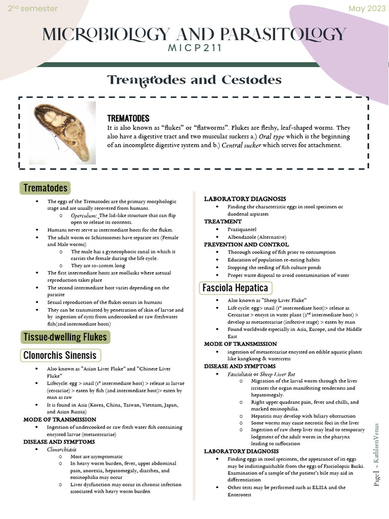 Trematodes and Cestodes: Overview and Control | PDF | Causes Of Death ...