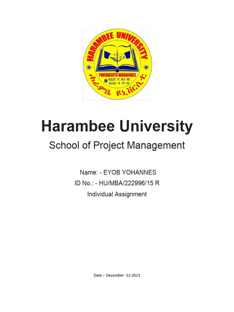 Mis Assignment 2 Final | PDF | Information System | Analytics