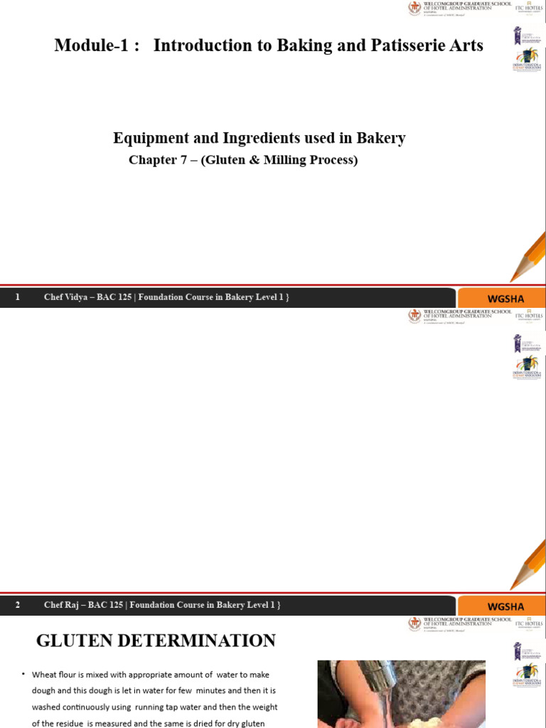 Module 1- Ch 7 Gluten & Milling | PDF | Gluten | Flour