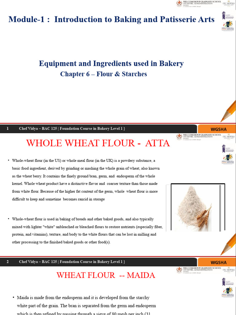 Module 1 - CH 6 Flour | PDF