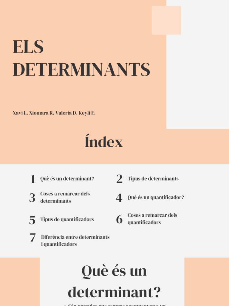 Els Determinants | PDF