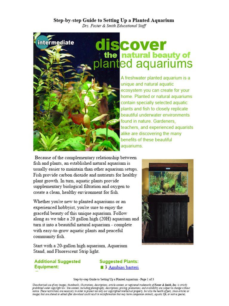 Step by Step Guide To Setting Up A Planted Aquarium | PDF | Aquarium ...