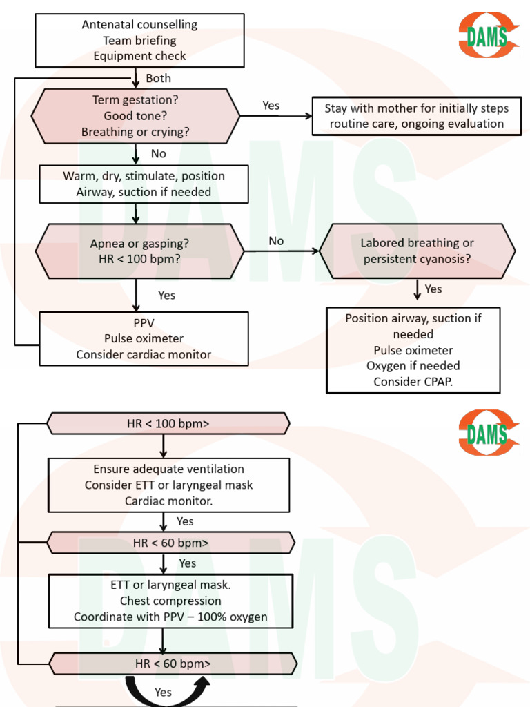 17 Jan - Paediatrics (DR Ashutosh) DAMS DVT 2022 | PDF | Human Diseases ...