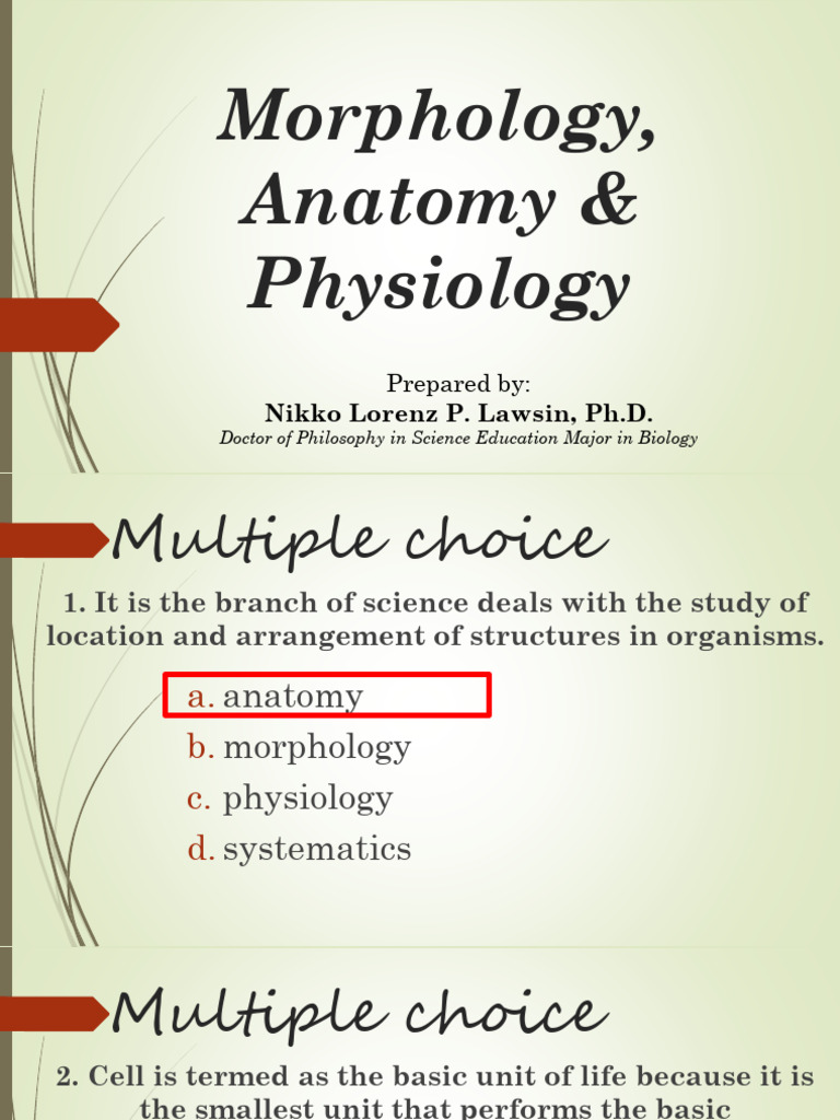 BLEPT - Bio - Morphology Anatomy and Physiology | PDF | Artery | Vein