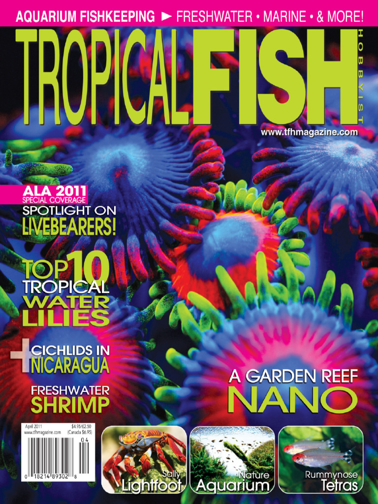 Tropical Fish Hobbyist 201104 | PDF