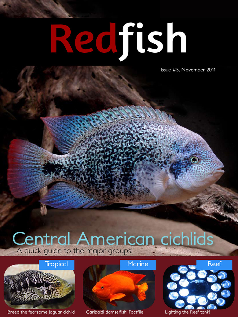 Redfish Magazine 2011 November Eu | PDF | Aquarium | Nutrients