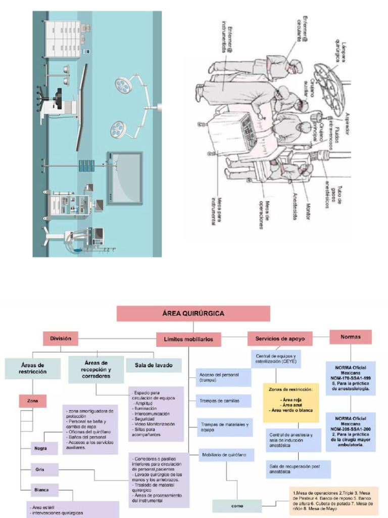 Inagen Centro Qui... | PDF