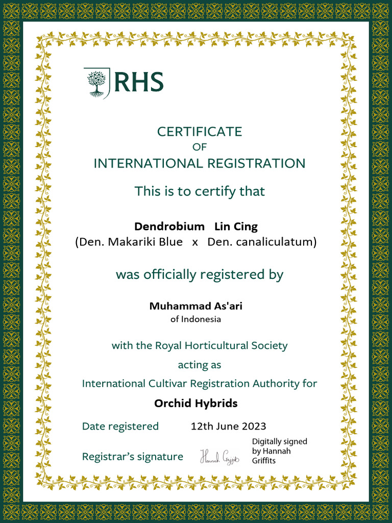 Digital Registration Certificate Lin Cing | PDF