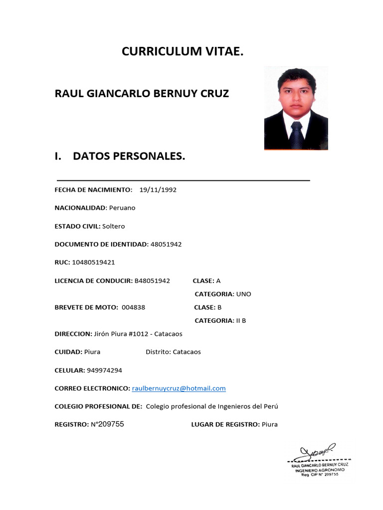 CV Raul 2023 ... | Descargar gratis PDF | Perú | Logística