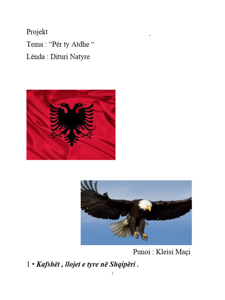 1.projekt Per Ty Atdhe Dituri Natyre | PDF