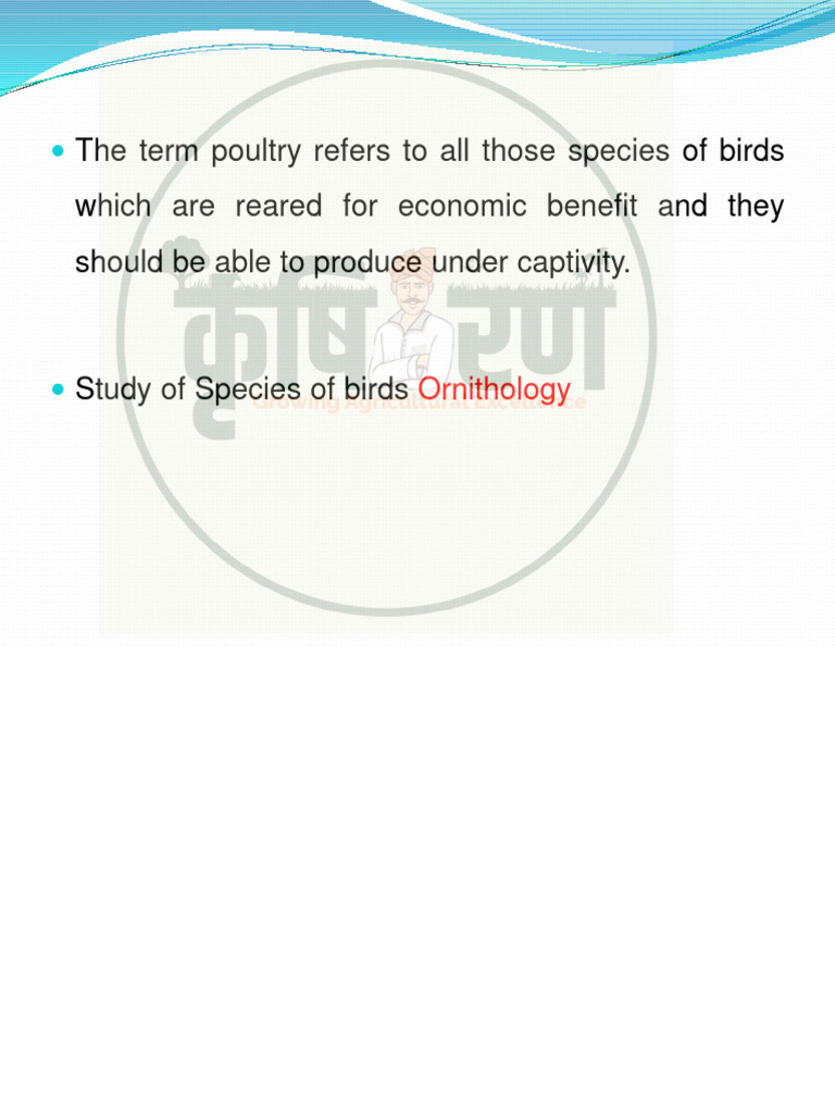 Terminology of Poultry | PDF