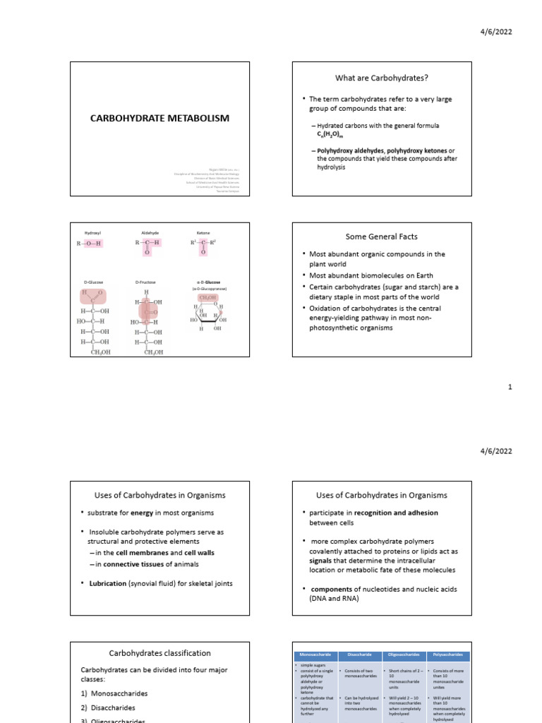 Carbohydrate Metabolism Overview | PDF | Carbohydrates | Glycolysis