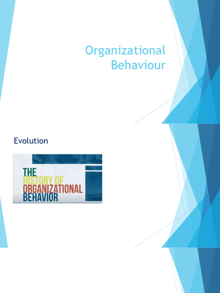 Organizational Behaviour | PDF | Leadership | Motivational