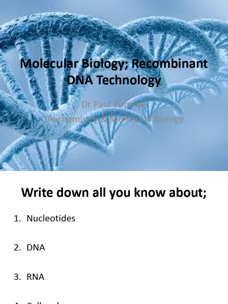 Lecture 12 Molecular Biology | PDF