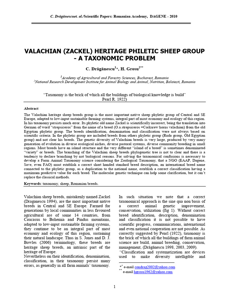 Valachian Sheep Taxonomy Issues | PDF | Taxonomy (Biology) | Sheep