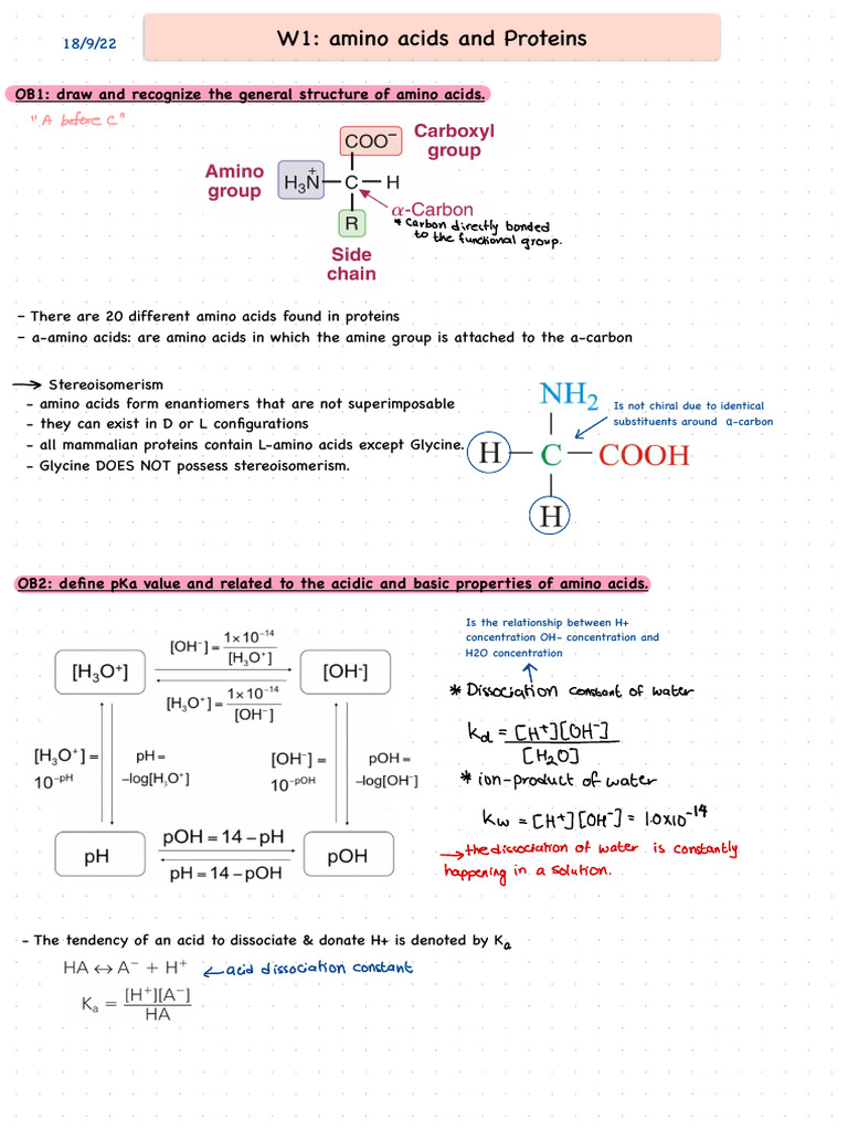 amino acids | PDF | Amino Acid | Acid Dissociation Constant