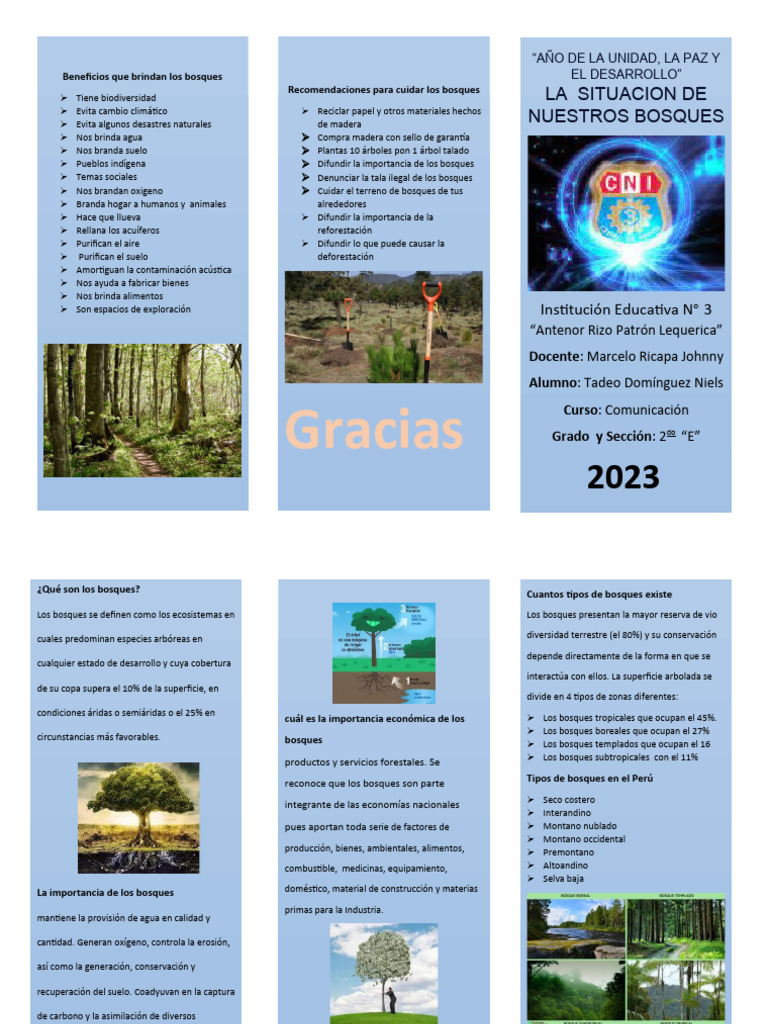 triptico de comunicacion | PDF | Los bosques | Deforestación