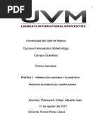 Términos de Lateralidad en Anatomía | PDF | Términos anatómicos de ...