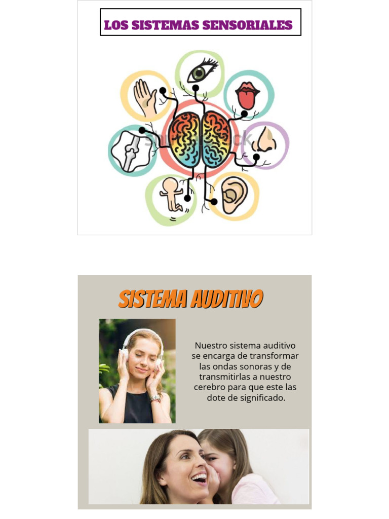 Sistemas Sensoriales | PDF