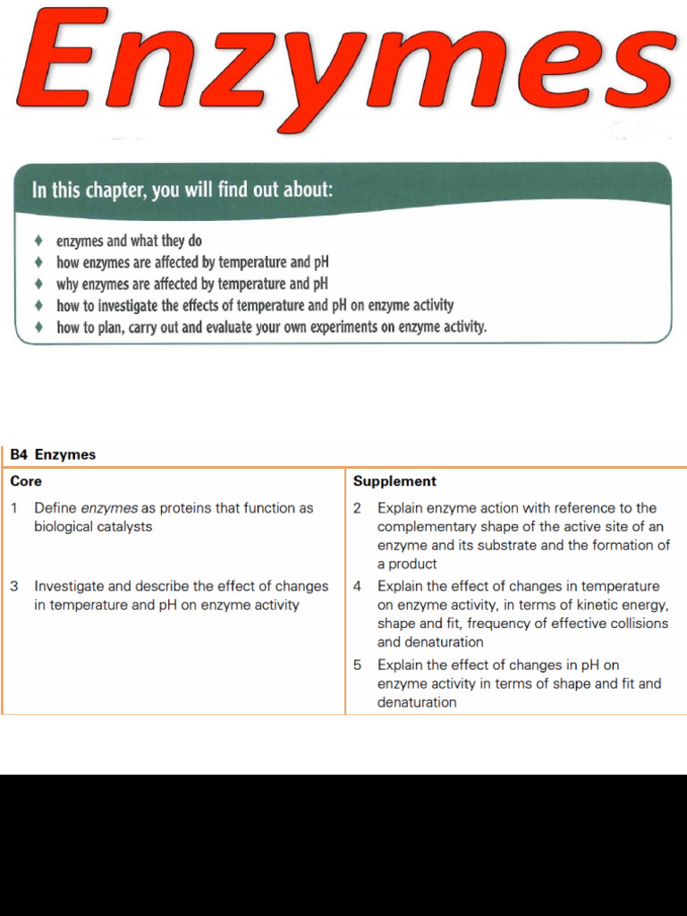 Enzymes | PDF | Enzyme | Active Site