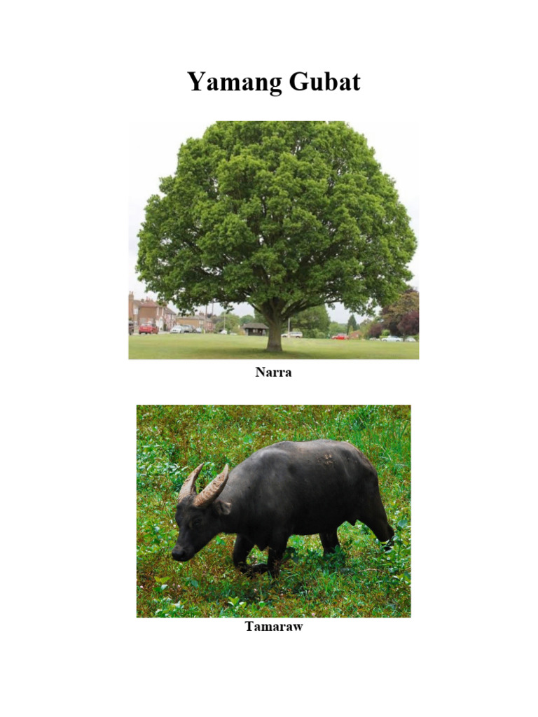 Yamang Gubat Yamang Gubat Yamang Dagat | PDF