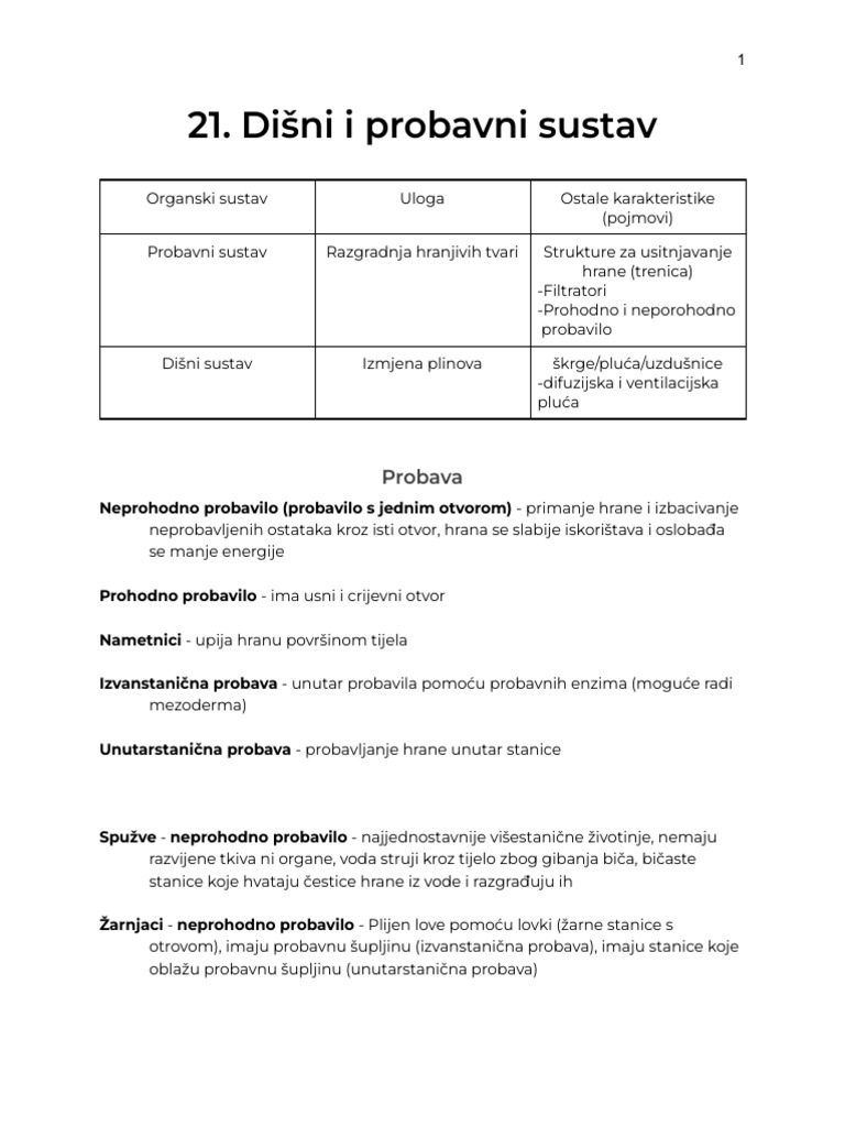 Dišni I Probavni Sustav | PDF