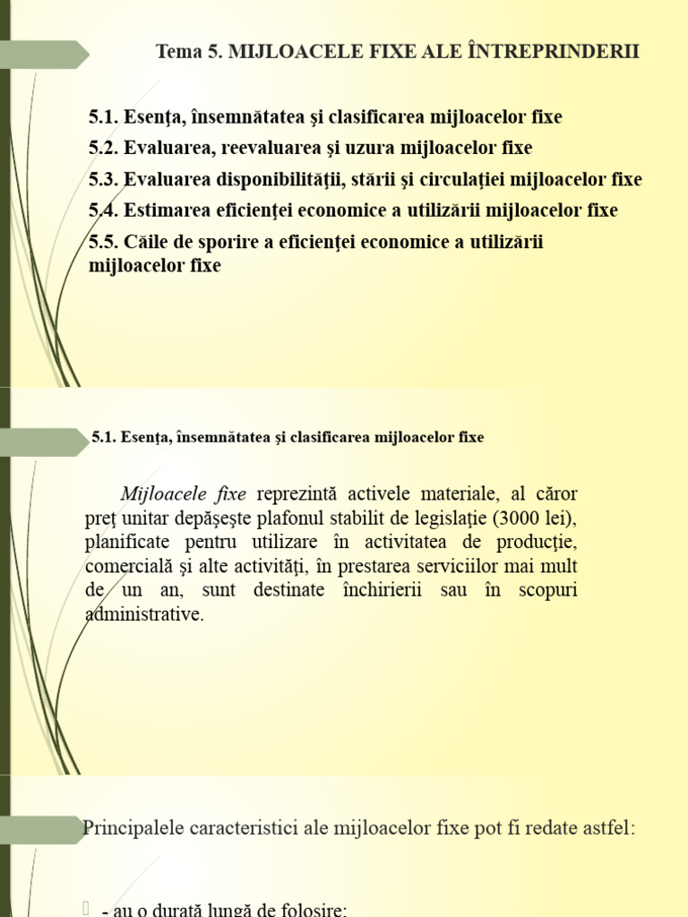 Tema 5 Mijloace Fixe | PDF