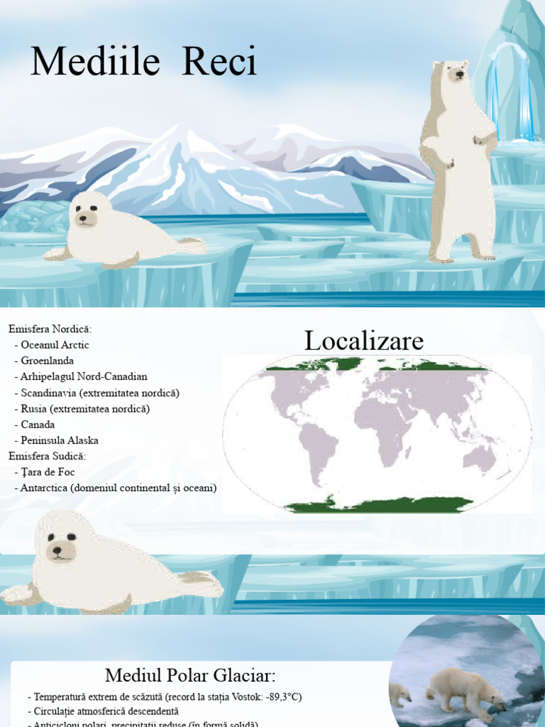 A Frozen World Arctic Habitats | PDF