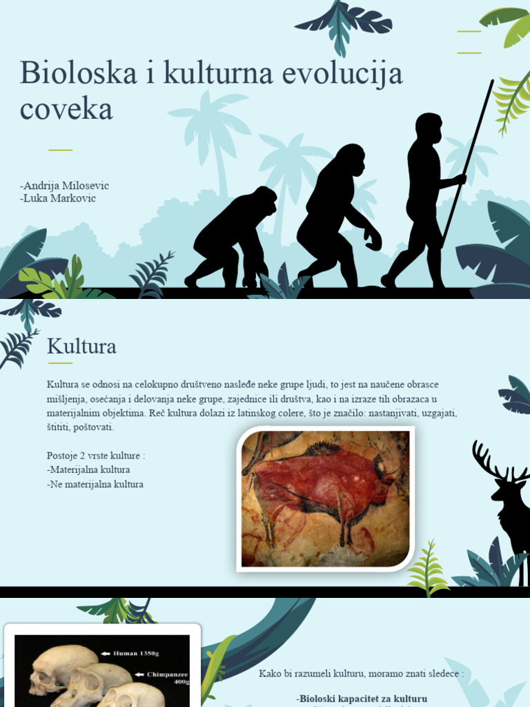 Bioloska I Kulturna Evolucija Coveka | PDF