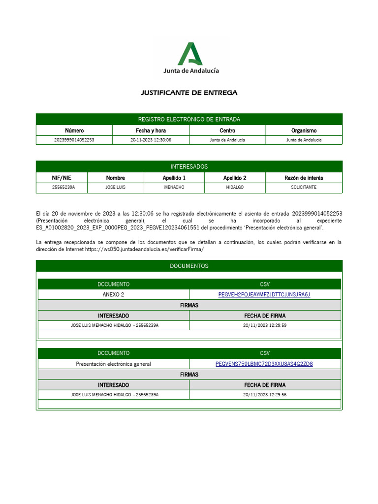 Justificante de Entrega Electrónica | PDF