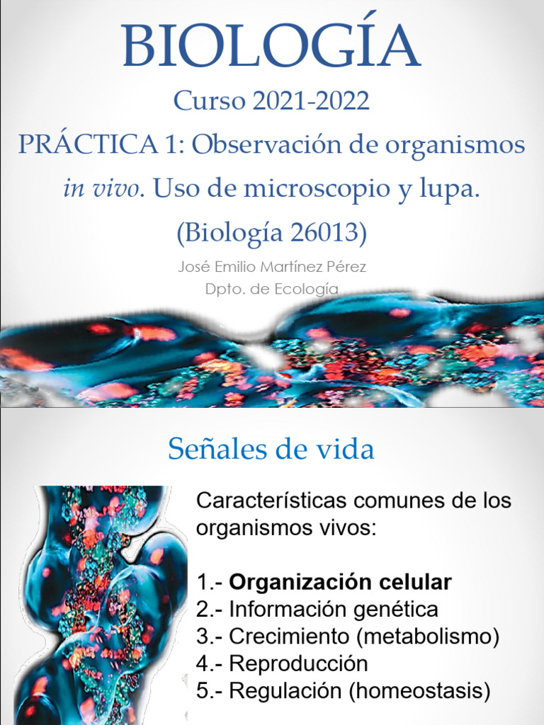 Practica de Laboratorio 01 - Microscopio y Lupa Binocular - Qu¡Micos | PDF