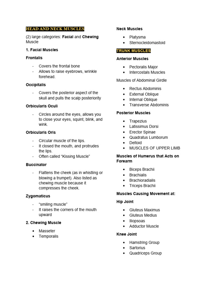 Anaphy Book Summary | PDF | Foot | Joints