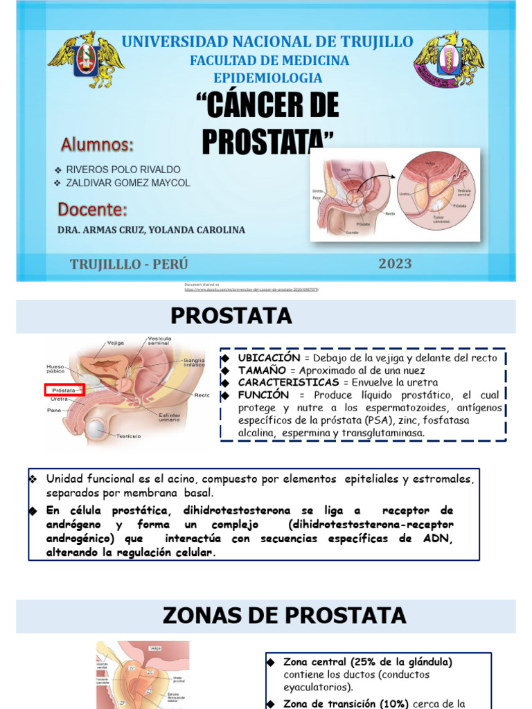 Ca Prostata | PDF | Antígeno específico de la próstata | Cancer de prostata