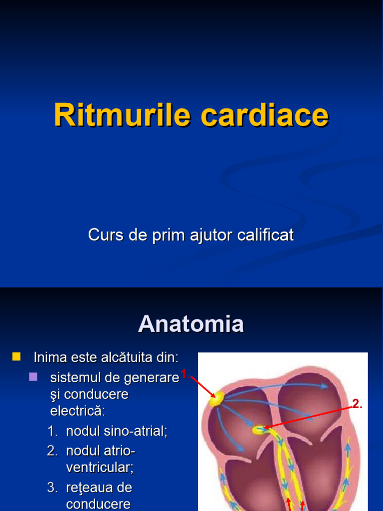 Ritmurile Cardiace | PDF