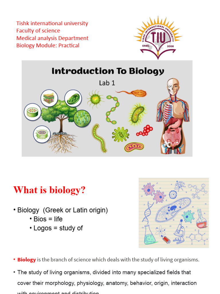 Lab 1 Introduction To Biology Autosaved | PDF | Organisms | Biology