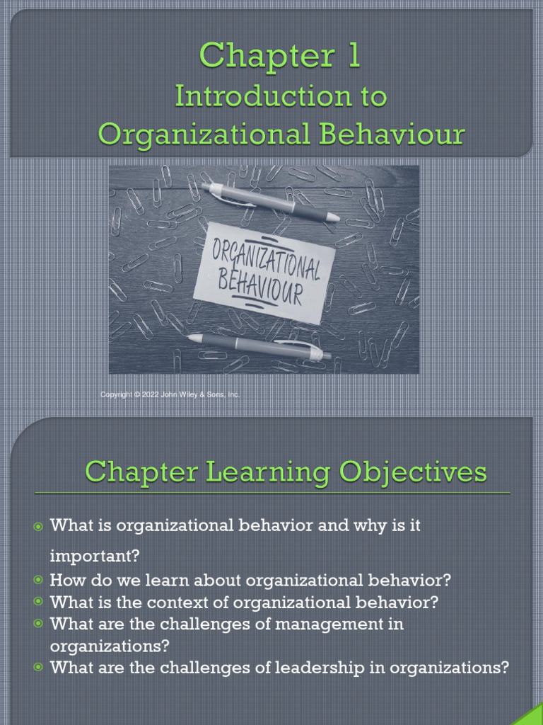 Lesson 01 Introduction to Organizational Behaviour | PDF | Leadership | Organizational Behavior