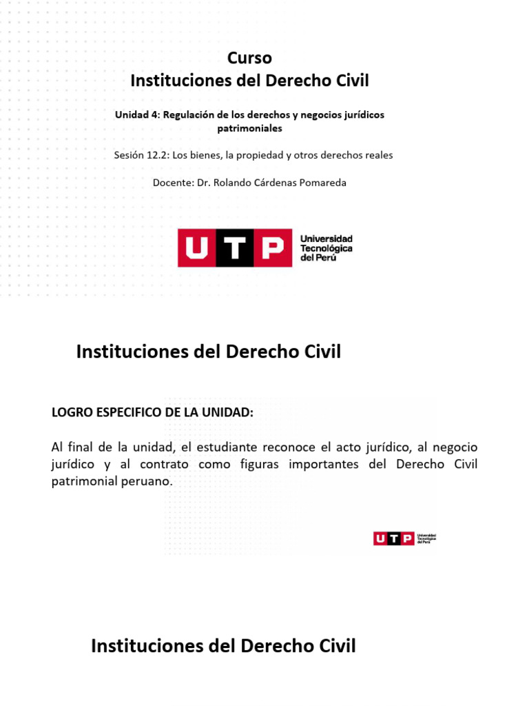 S11.s2 Material Del Curso | PDF | Propiedad | Institución