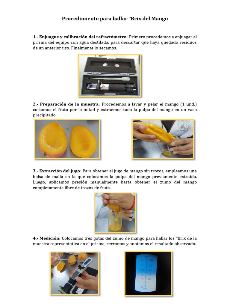 Procedimiento para Hallar °brix Del Mango | PDF
