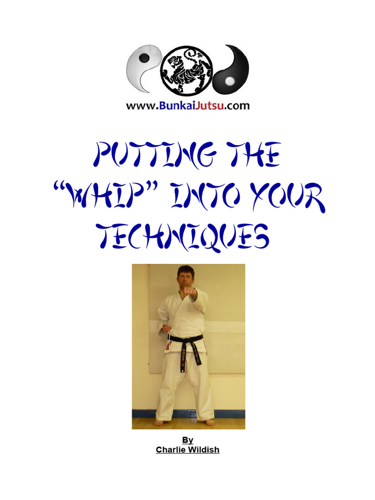 Putting The Whip Into Your Technique | PDF | Karate | Shotokan