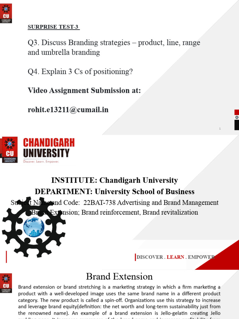 Brand Reinforcement and Revitalization Strategies | PDF | Brand | Marketing