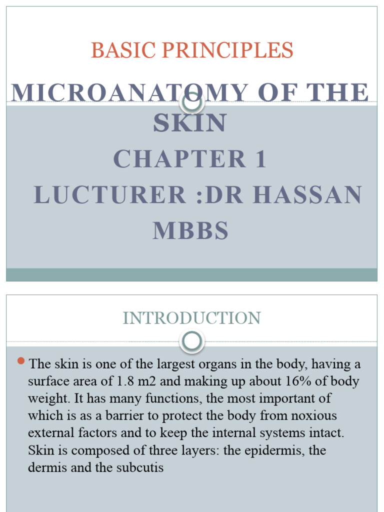 Chapter 1 | PDF | Skin | Epidermis