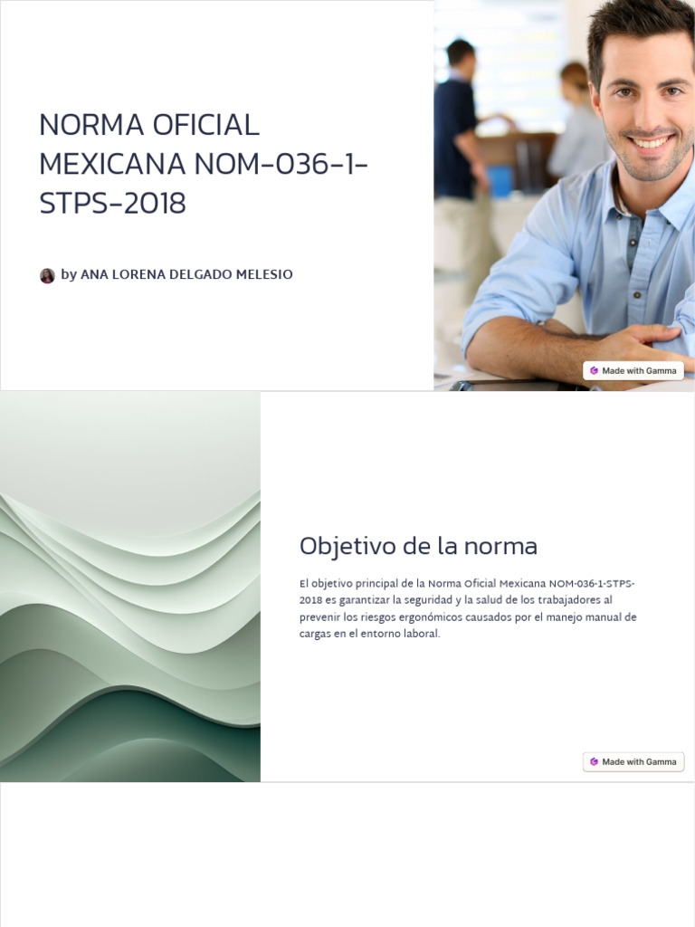 Norma Oficial Mexicana Nom 036 1 STPS 2018 | PDF | Factores humanos y ...