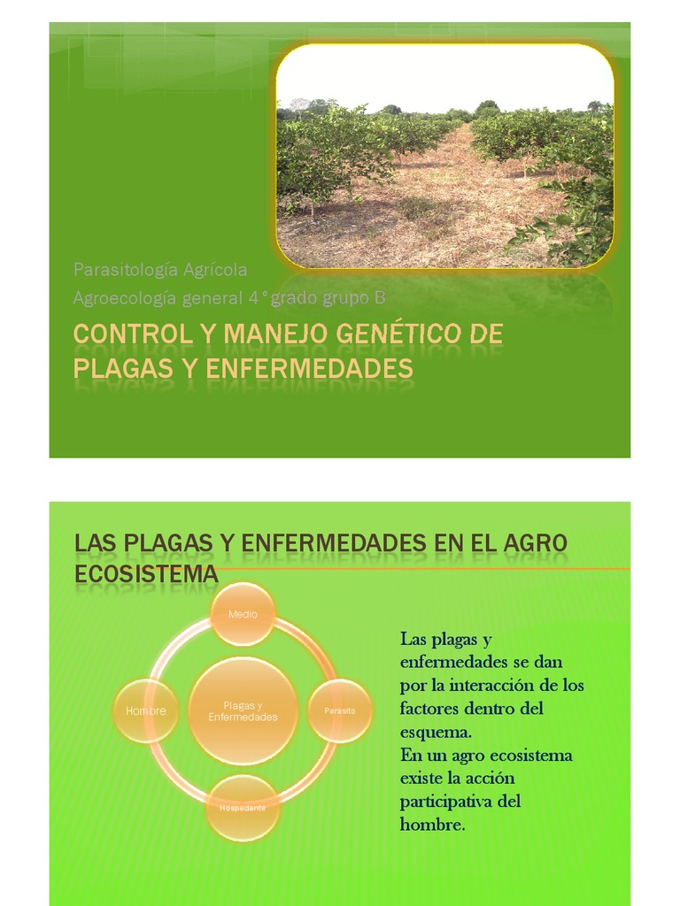 Control y Manejo Genético de Plagas y Enfermedades | PDF | Plaga (organismo) | Parasitismo
