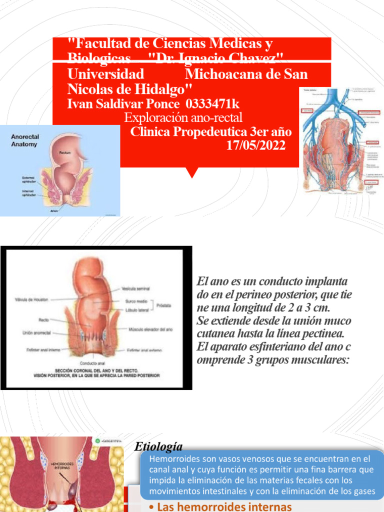 Exploración Ano Rectal | PDF | Recto | Hemorroides