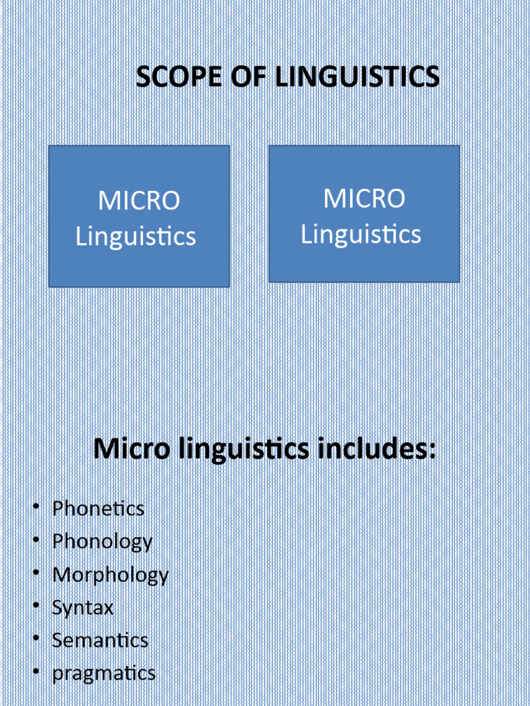 Micro Dan Macro Linguistics | PDF