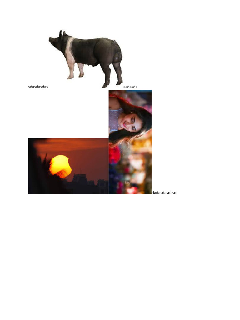 Sdasdasdas Asdasda | PDF